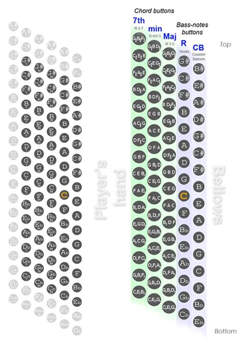 Accordion bass chart vs. tablature: which is better for bass players ...