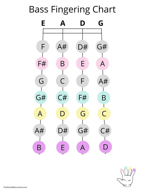 Unlock the Secrets of Bass Fingering Chart for Effortless Playing ...