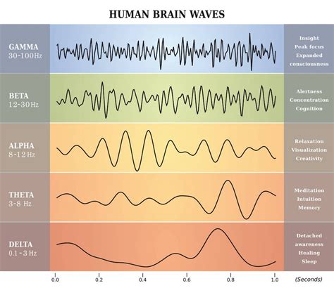Unlock Your Mind with This Stunning Brainwave Chart - Imaginative Minds