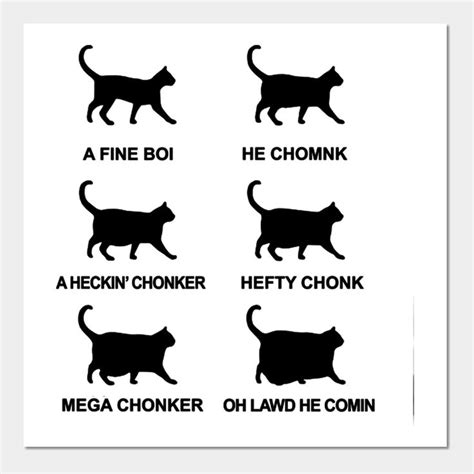 10 Hilarious Cat Size Chart Meme Benefits You Can't Miss - Imaginative ...