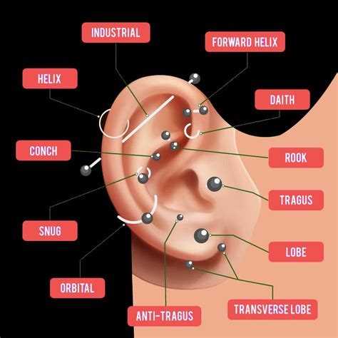 Discovering the Story Behind the Chart of Ear Piercings - Imaginative Minds
