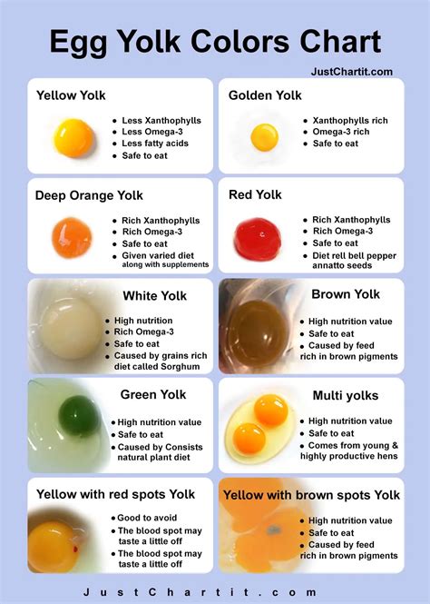 Discover How a Color Egg Chart Reveals Surprising Insights About Egg ...