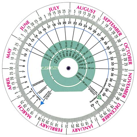 Accelerate Your Insights with a Fast Conception Birth Chart Analysis ...