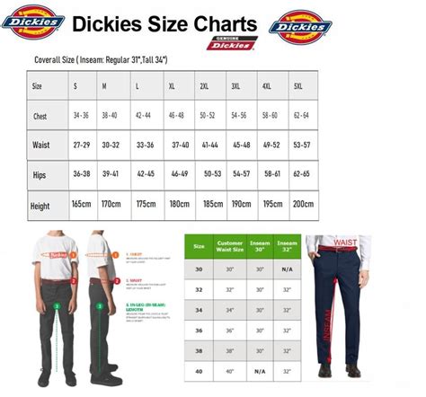 Quick Guide to the Dickies Coveralls Size Chart for Fast, Accurate ...