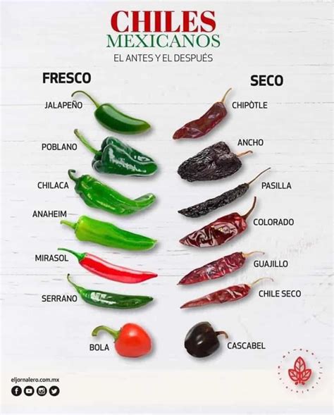 The Ultimate Chart of Peppers: Your Complete Guide to Spicy Varieties ...