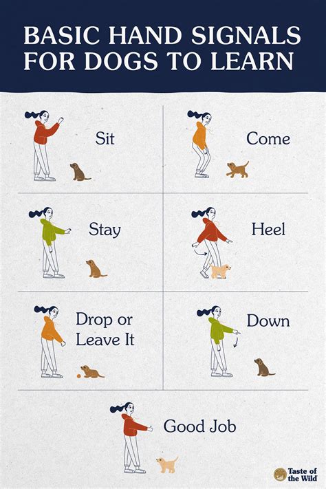 Master the Dog Hand Signals Chart Fast with These Easy Tips ...