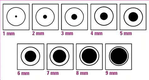 Unlocking the Secrets of Your Eyes: The Ultimate Pupil Sizing Chart ...