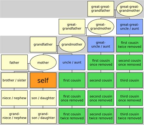 10 Benefits of Using a Family Tree Chart with Cousins to Connect Your ...