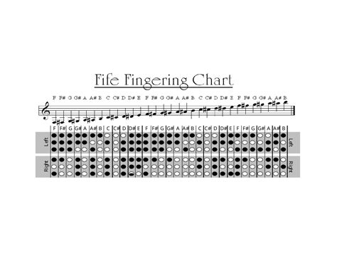 Quick and Easy Fife Fingering Chart for Beginner Musicians ...
