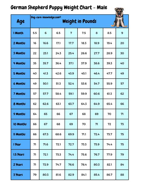 Discover the Ultimate Weight Chart for German Shepherds - Imaginative Minds