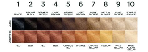 Unlock Your Perfect Shade: The Ultimate Hair Color Charts Guide ...
