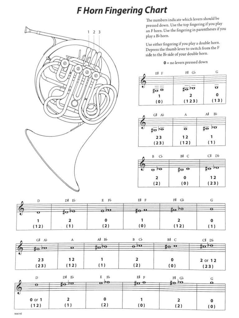 Master the Melodies with Our Essential Horn Fingering Chart ...