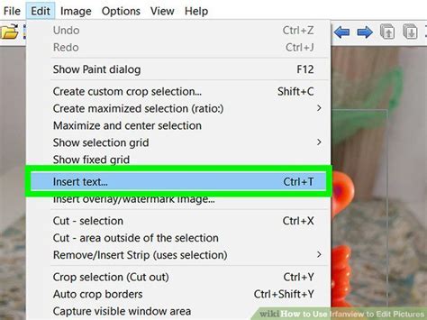 How To Do Basic Editing In Irfanview - Imaginative Minds