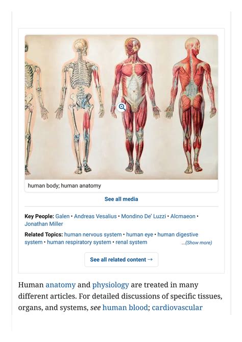 Explore and Understand the Human Body with a Comprehensive Anatomy ...