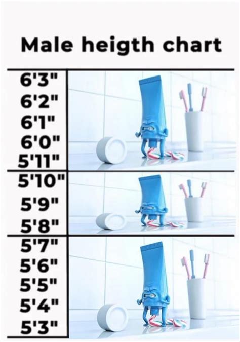 How to Decode the Male Height Chart Meme and Understand Its Humor ...