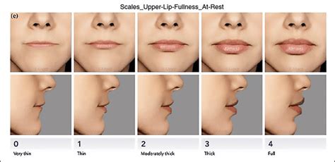 How to Use a Lips Size Chart for Perfect Lip Enhancements - Imaginative Minds