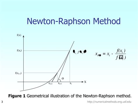 Newton Raphson Method Solver - Imaginative Minds