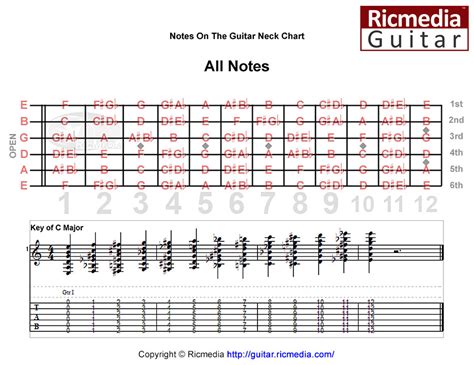 Understanding the Importance of Notes on the Guitar Neck Chart ...