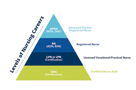 Nursing Levels In Order - Tech Playground