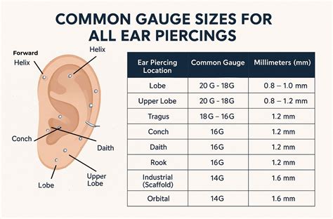 Master piercing size chart to find the perfect fit today - Imaginative ...