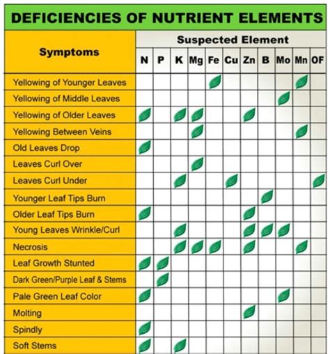 Identify Key Plant Deficiencies Quickly with an Easy-to-Read Plant ...
