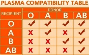 Why a Plasma Compatibility Chart Matters for Safe and Effective Treatments - Imaginative Minds