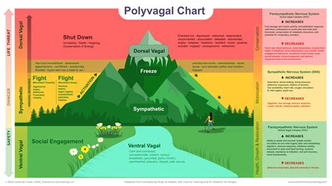 Unlocking Calm: Your Essential Polyvagal Chart Guide - Imaginative Minds
