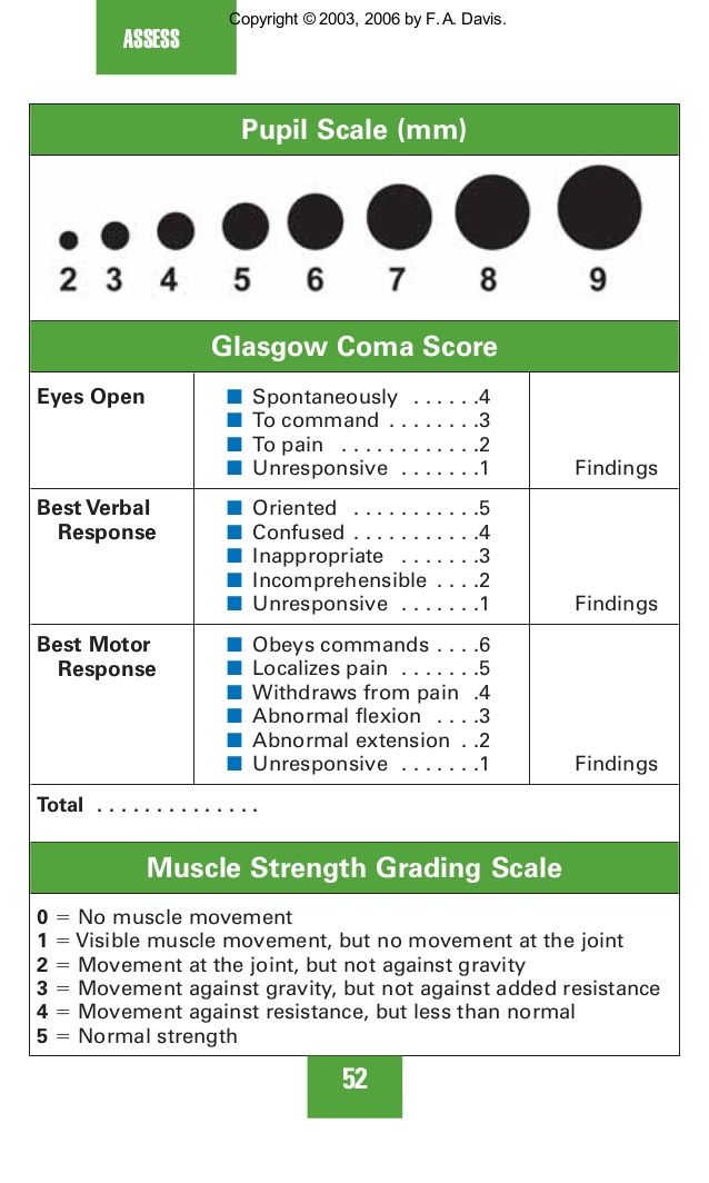 Uncovering the Hidden Link Between Pupil Chart Size and Brain Activity ...