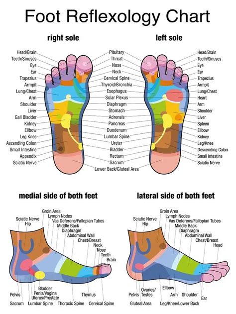 Avoid This Common Mistake: Misreading the Reflexology Left Foot Chart ...