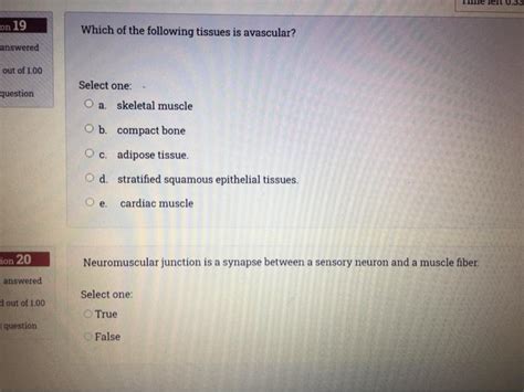Tissue Is Avascular. Is What Tissue - Imaginative Minds