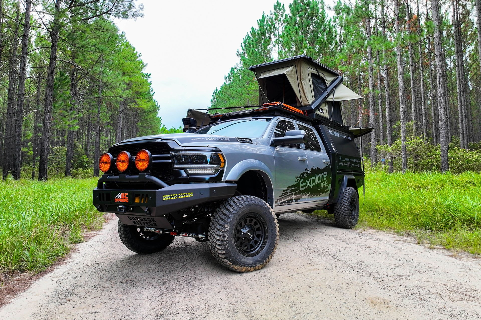 Explore the Unique Features of the Minnesota Orchestra Seating Chart ...