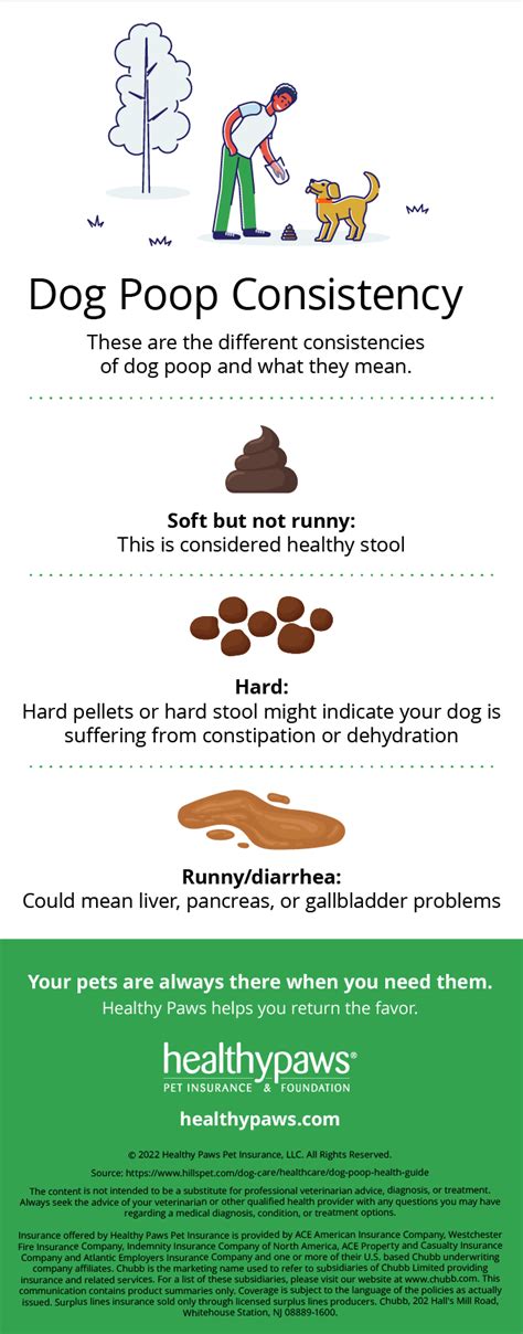 Decode Your Dog’s Health: Understand the Dog Vomit Color Chart ...
