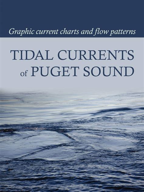 Tidal Charts Puget Sound: Your Expert Guide to Sea Level Trends ...
