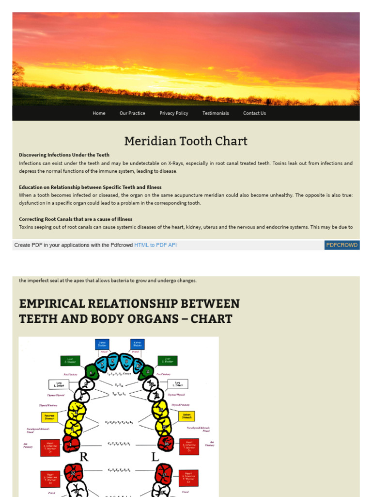 How to Read a Tooth Meridian Chart for Better Health - Imaginative Minds