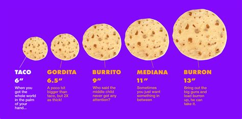 Ultimate Tortilla Size Chart for Home Cooks and Food Enthusiasts ...