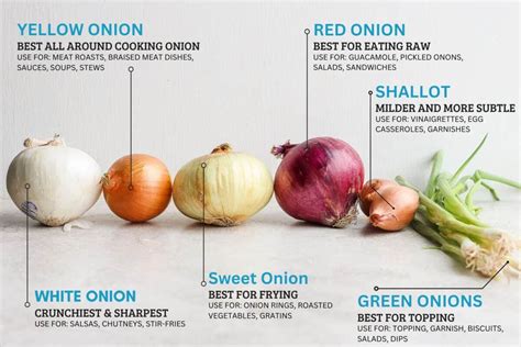 Types of Onions Chart Compared to an Interactive Infographic ...