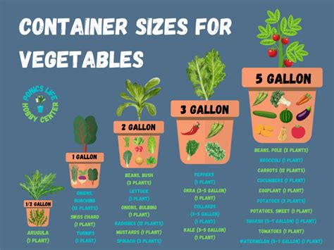 Avoid This Mistake with Your Vegetable Container Size Chart - Imaginative Minds